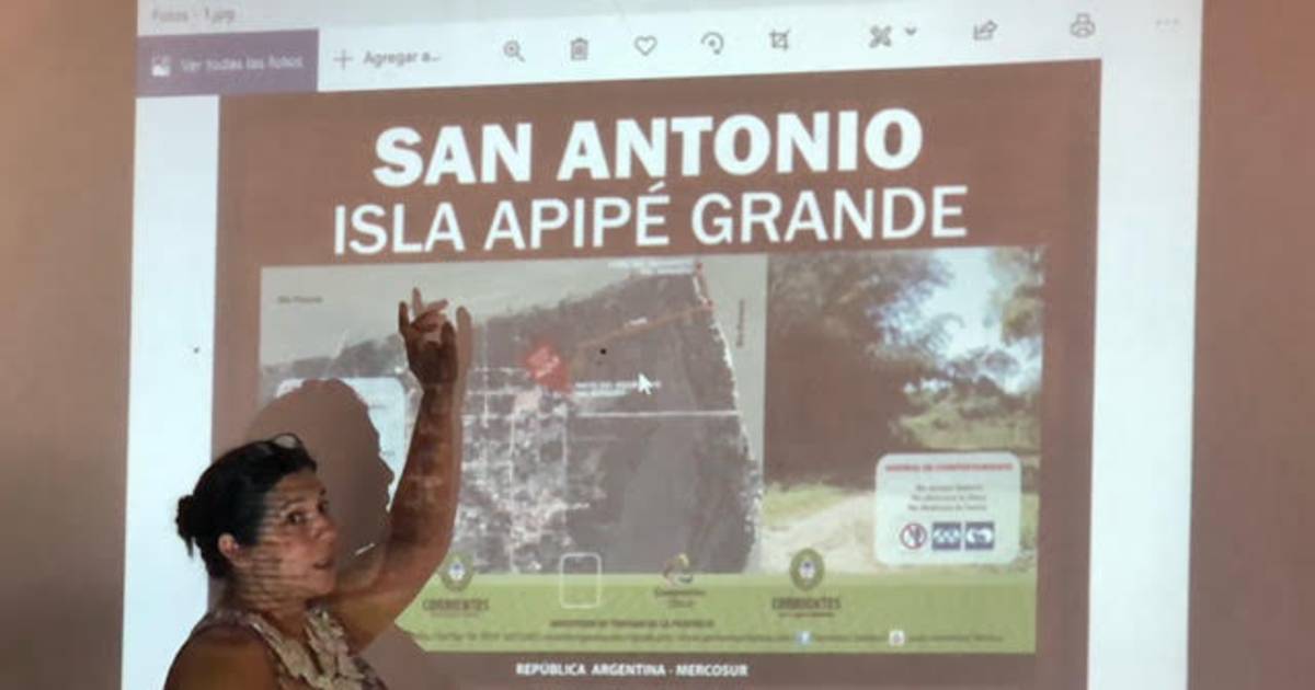 Isla Apipé Grande: proyectan circuitos peatonales, fluviales e ...