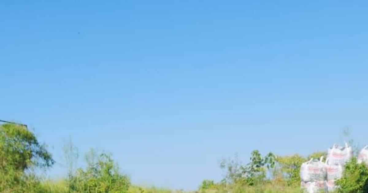 Los pobladores de la Isla Apipé volvieron a tener agua | El Litoral