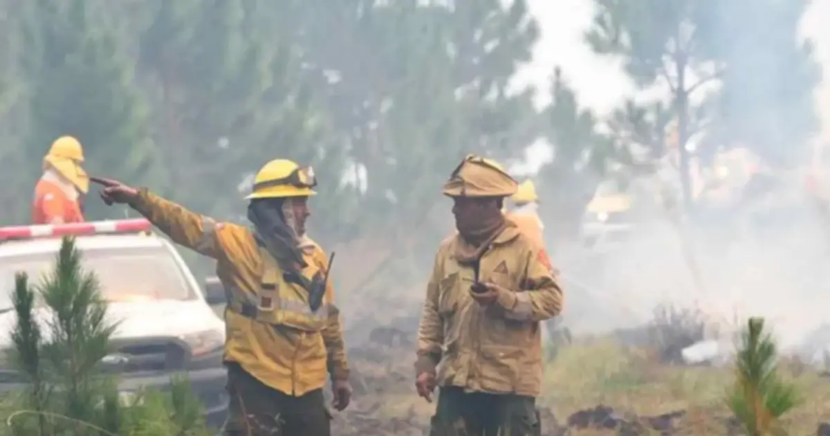 Incendios rurales y forestales: alertan por el riesgo en Corrientes ...