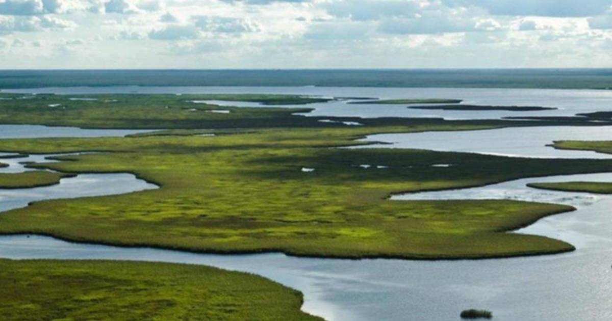La reserva del Iberá cumple 37 años desde su creación | El Litoral