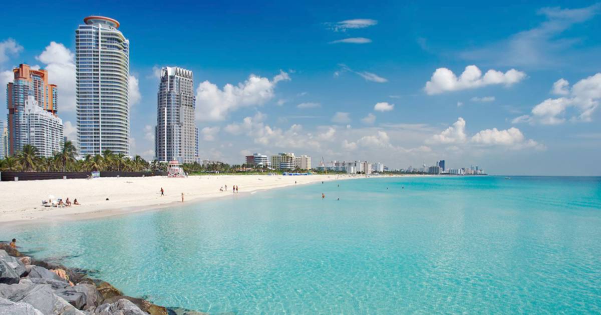 Miami y los imperdibles del destino en una guía de acceso gratuito | El ...