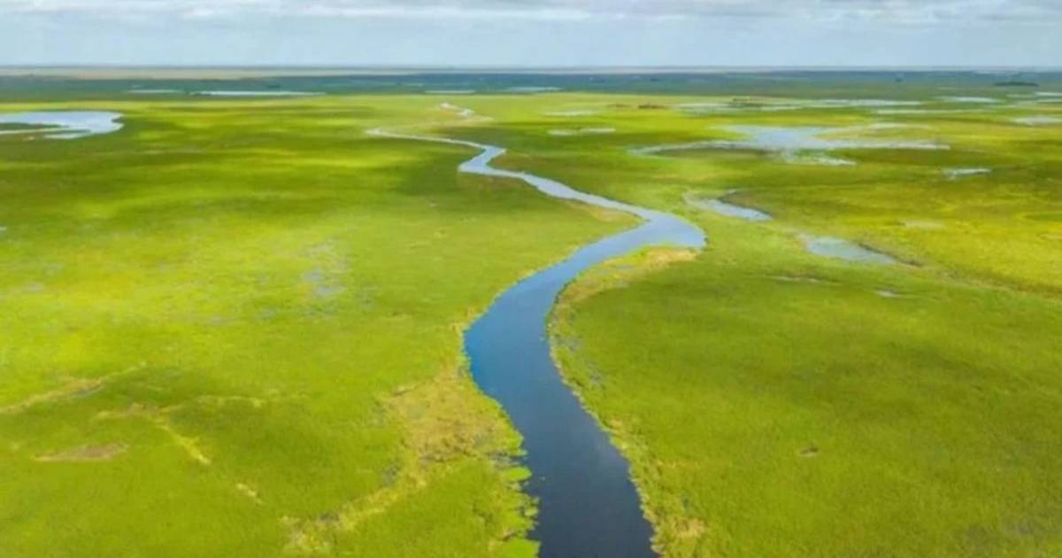 Se cumplen 41 años de la creación de la Reserva Natural Iberá | El Litoral