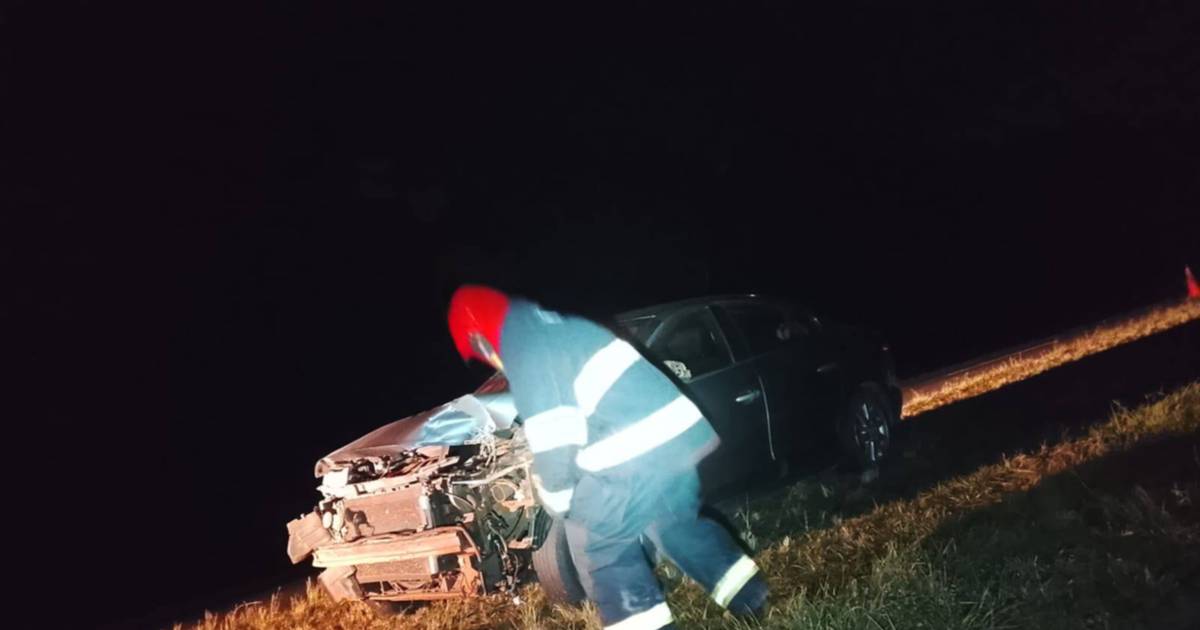 Un automóvil chocó contra un búfalo en una ruta de Corrientes | El Litoral