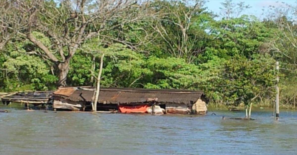 Evacuaron a más de 50 familias de las islas y el río Paraná sigue ...