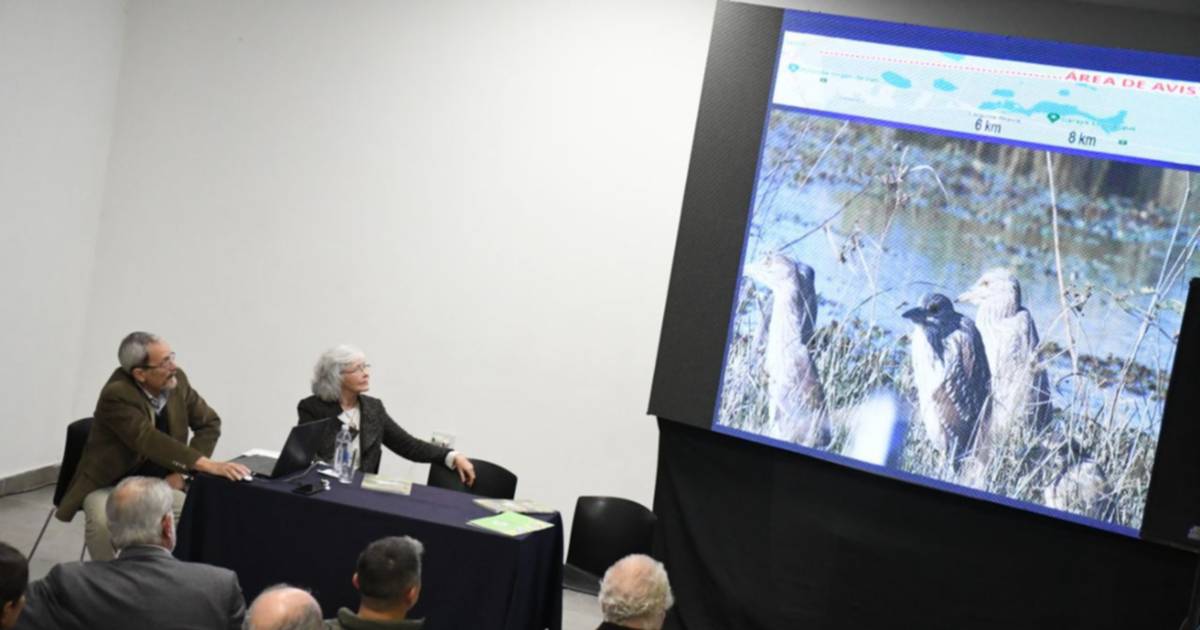 Presentaron Avistaje de Nuestras Aves, libro que enumera la riqueza de ...