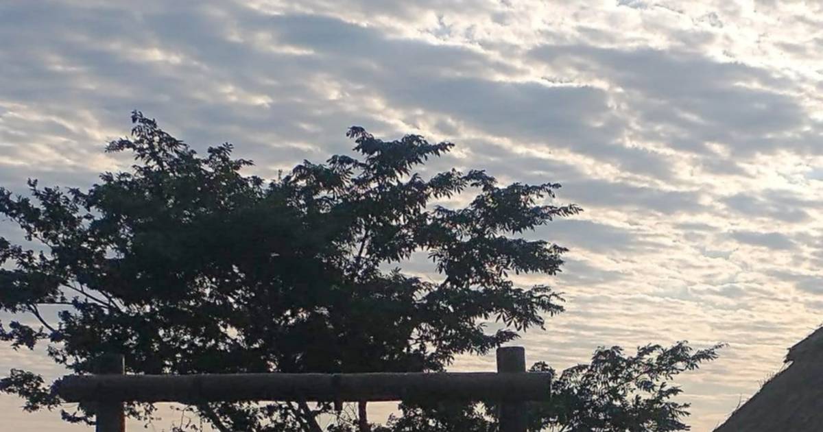 Las Islas Apipé: un paraíso natural en medio del conflicto con Paraguay ...