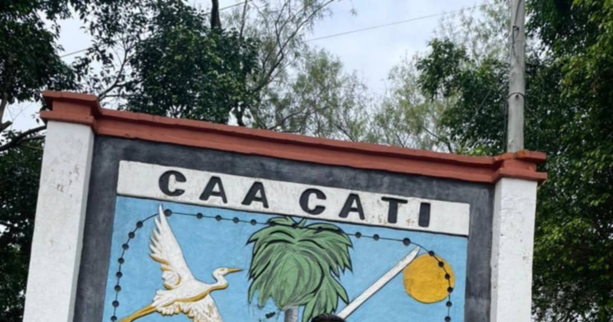 Argentina, 1985 se llevó el "Oscar" de Caá Catí | El Litoral