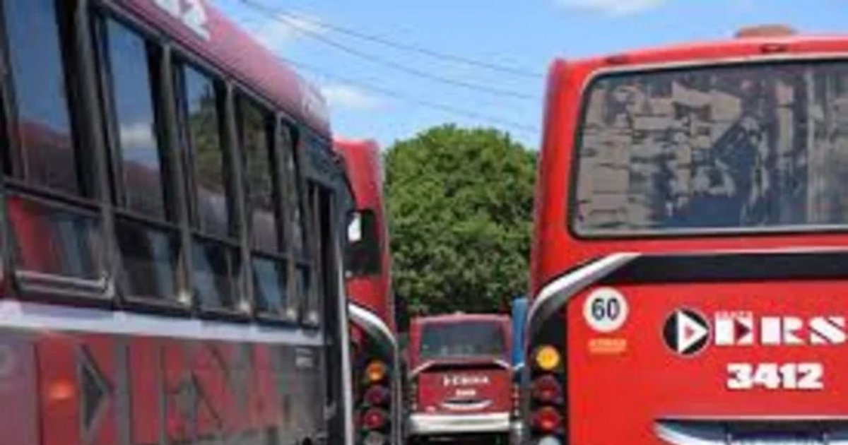 Boleto: aseguran que Nación subsidia el 25% de más de 43 mil tarjetas ...