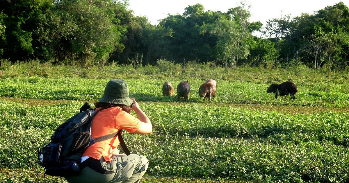 Vacaciones de invierno: fuerte impacto económico, con el Iberá como ...