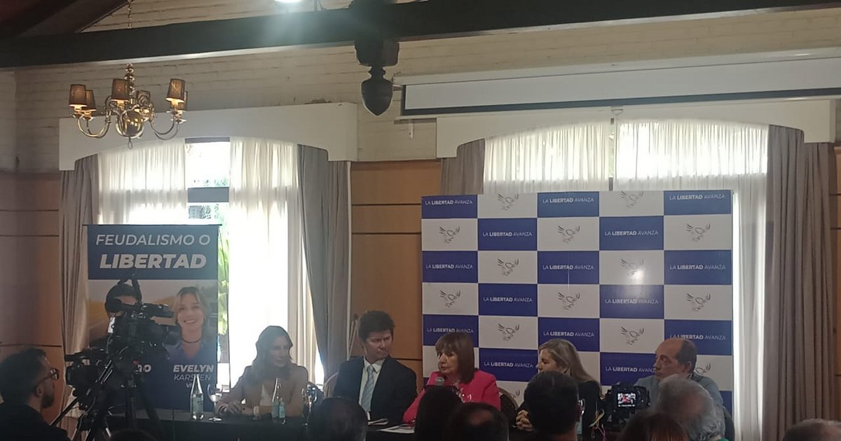 Patricia Bullrich, sobre el caso de Cristian Schaerer: "Estamos ...