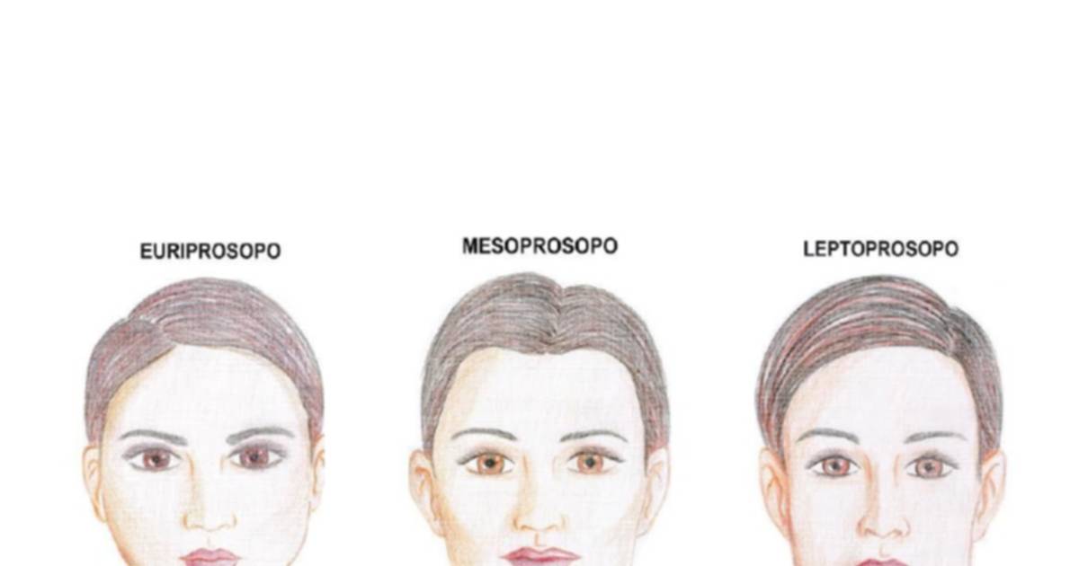 Qué rasgos faciales predominan en Corrientes, según una investigación ...