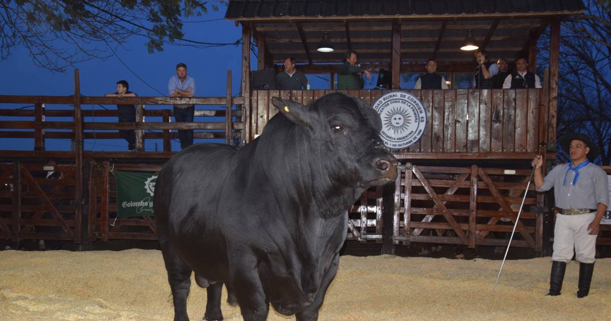 El Estribo y Rincón del Oratorio volvieron a su remate nocturno | El ...