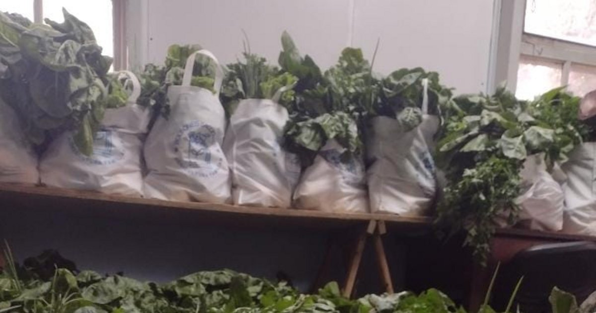 Productores comercializaron bolsones saludables con 11 productos | El ...