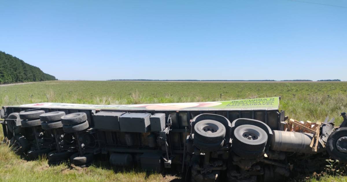 Volcó un camión con una impactante carga de manzanas en Corrientes | El ...